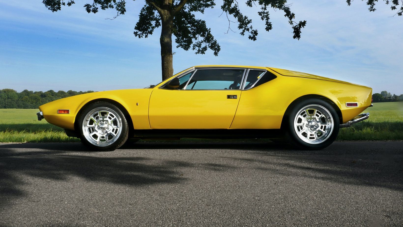 Discovering Motorsports Ranch: A Community Hub for Racing Enthusiasts ...